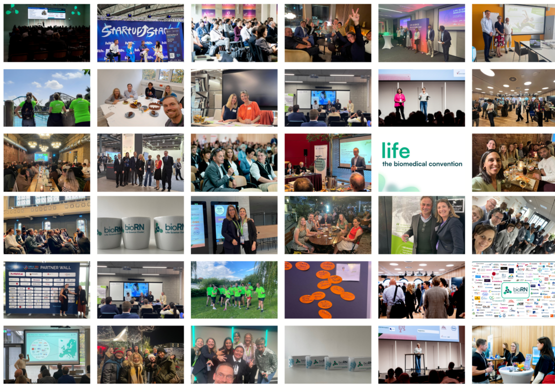 bioRN annual report 2024 - BioRN - Life Science Cluster Rhine-Neckar