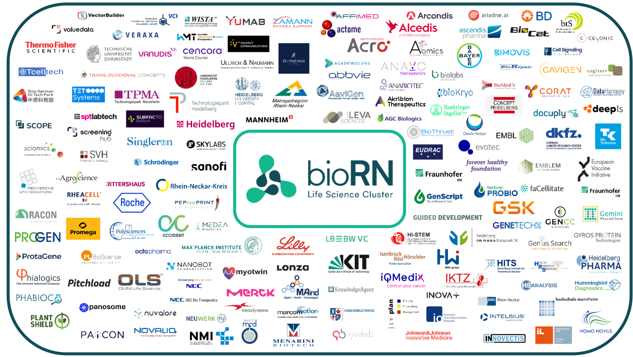 Members - BioRN - Life Science Cluster Rhine-Neckar